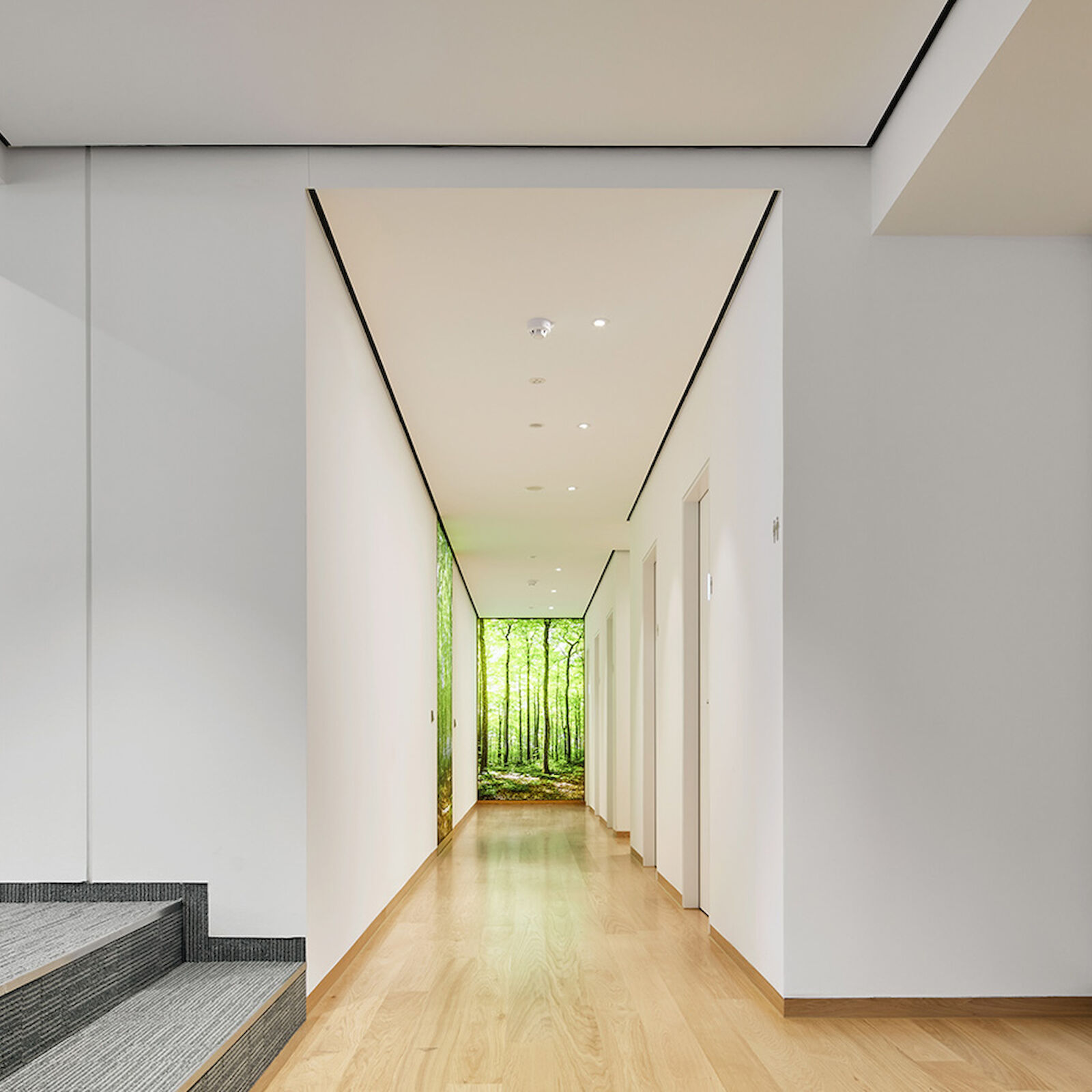 Home | sieger design