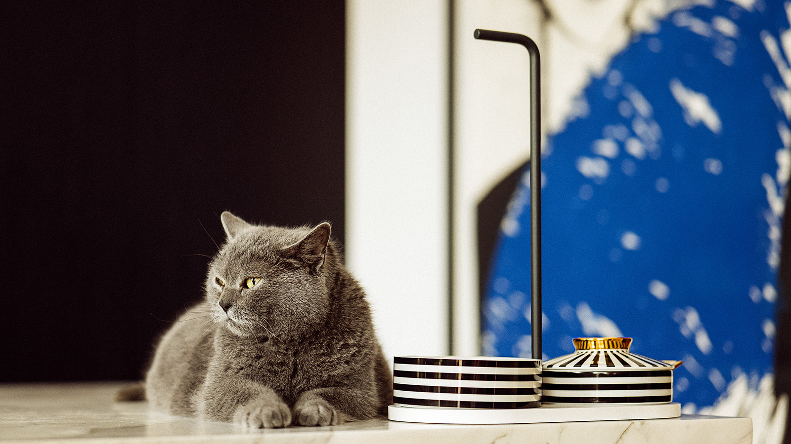 Garçon s’il vous plaît | sieger design